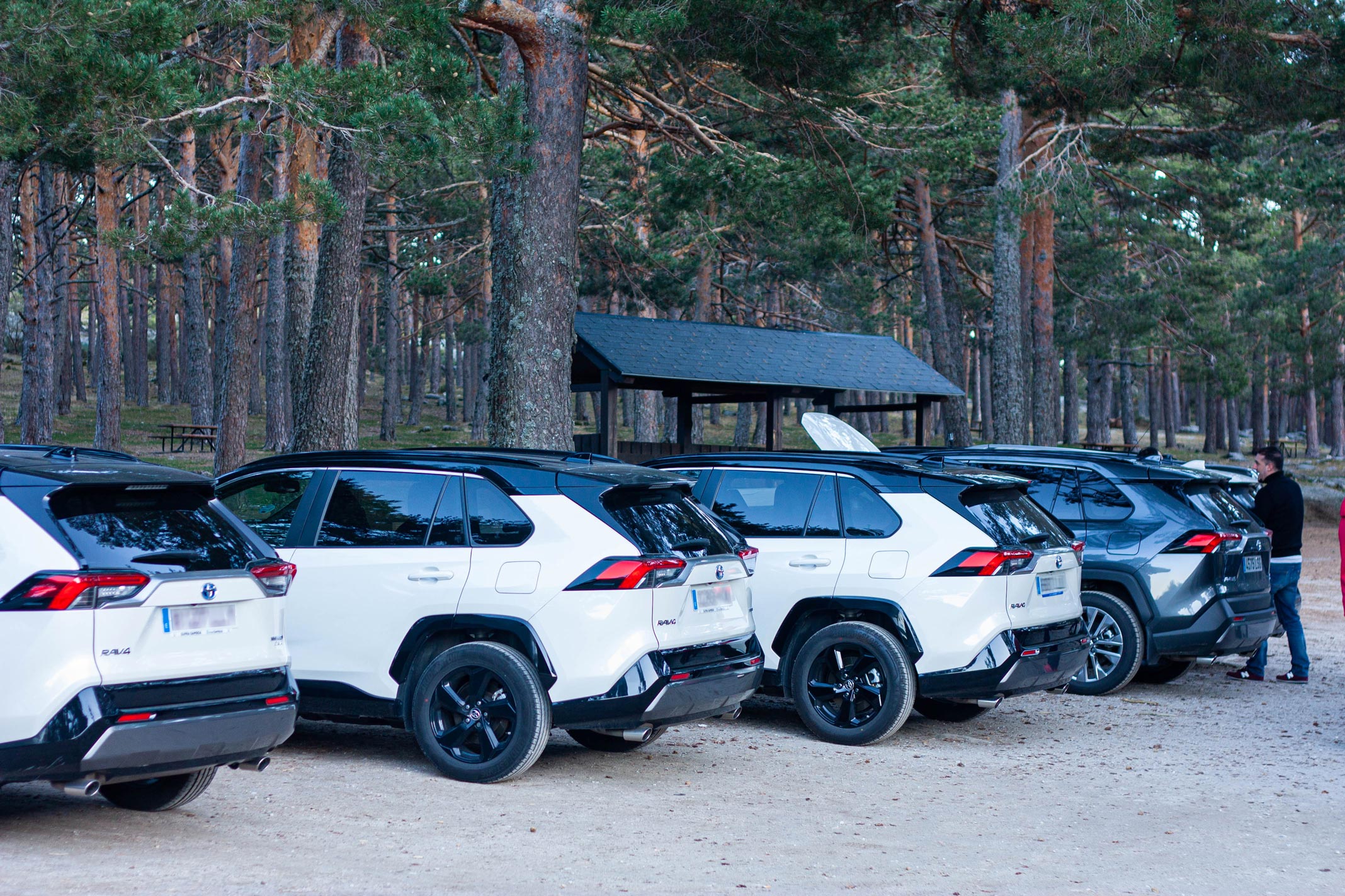 KDD_RAV4-101 | Club RAV4 España